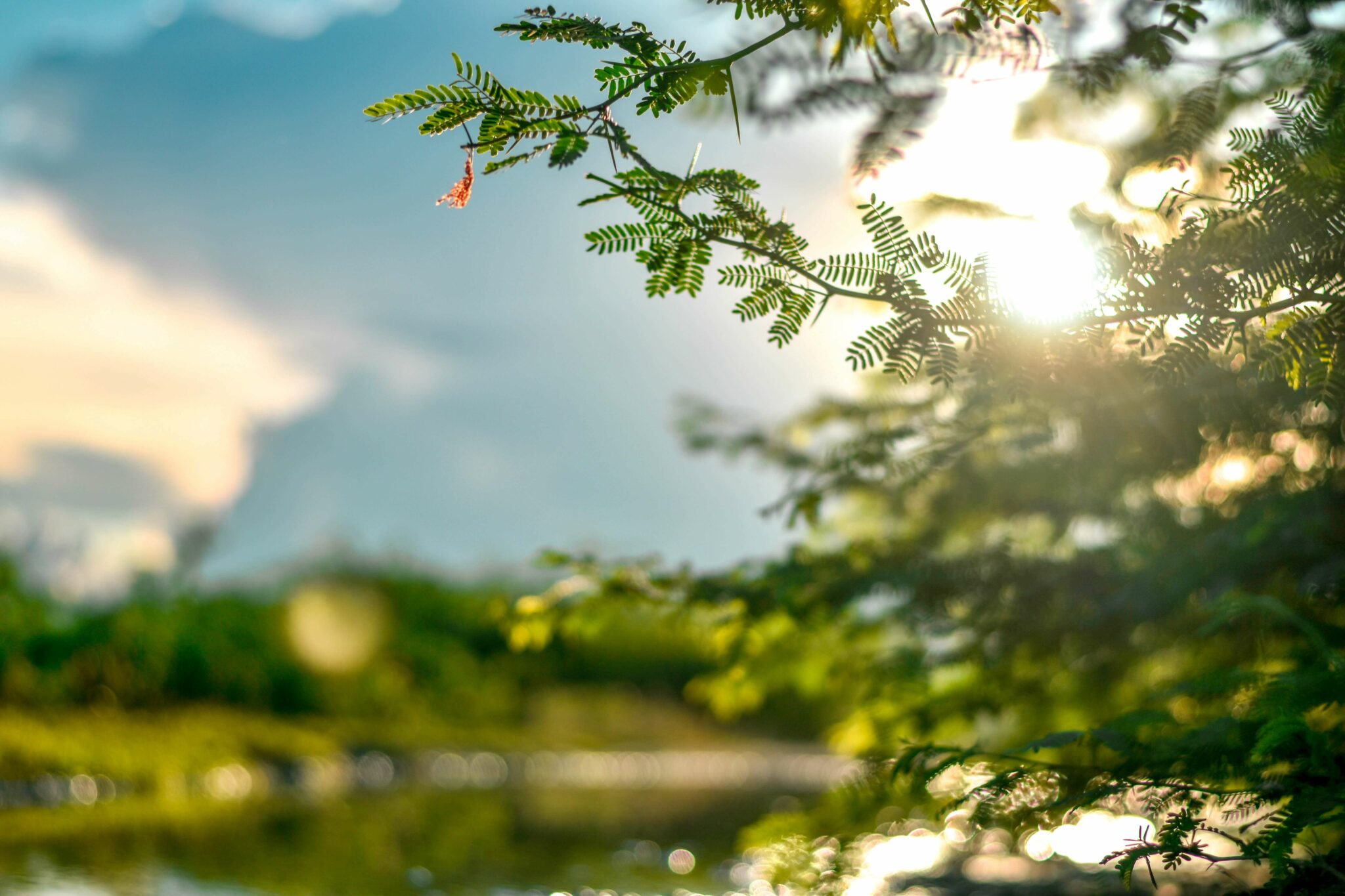 How environmental is your hotel? – World Sustainable Hospitality Alliance