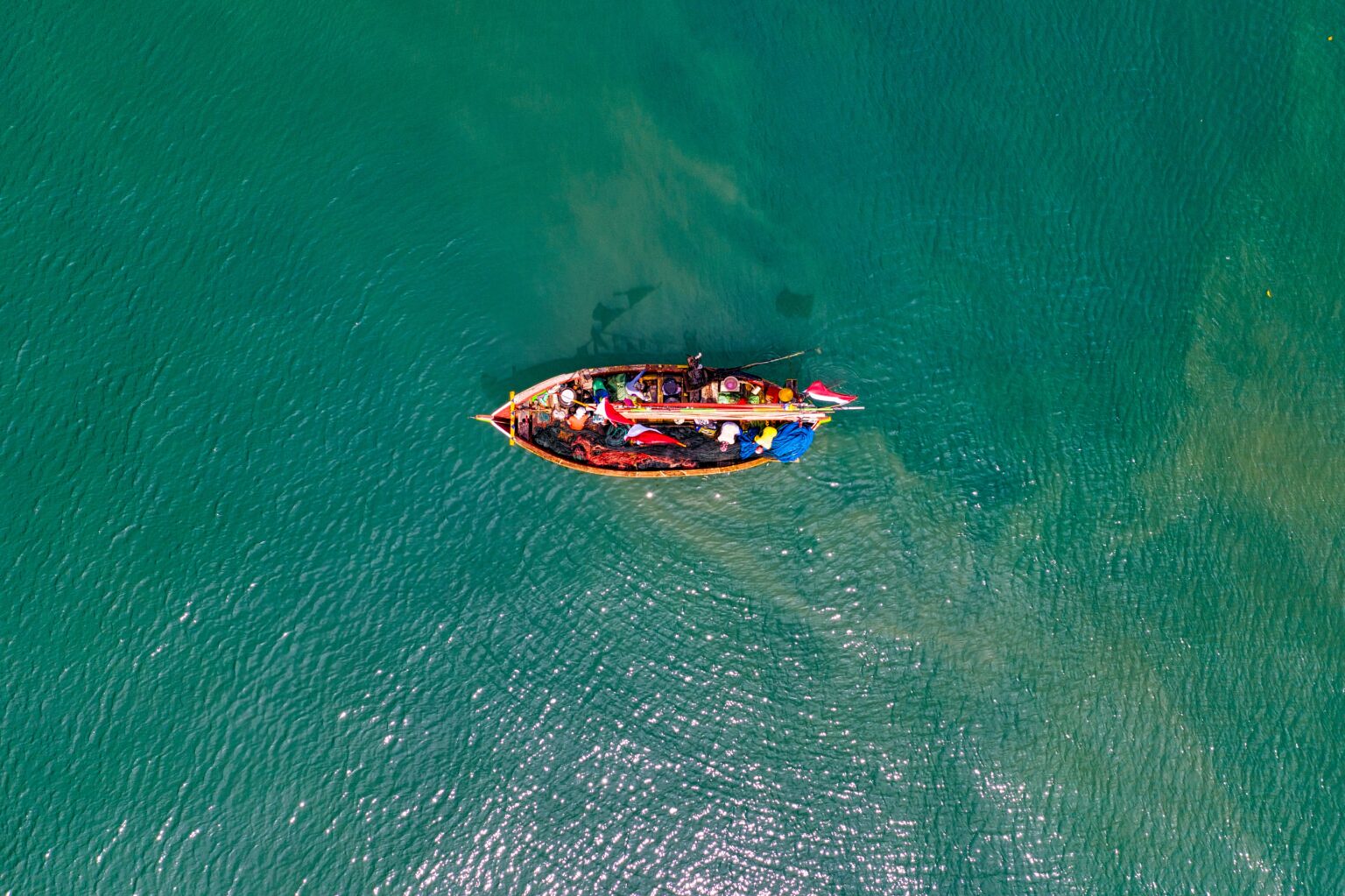 Case study: Hyatt Hotels - working with WWF to advance sustainable ...