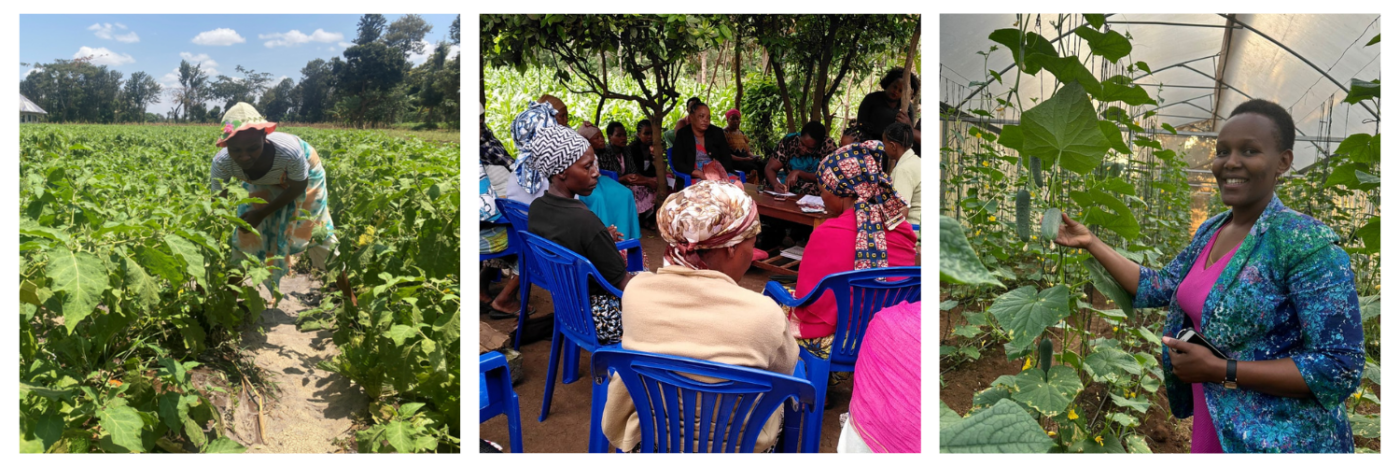 Case study: Supporting Local Communities - Empowering Women Farmers ...